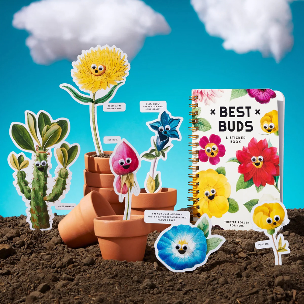 Buy the Best Buds Sticker Book by Brass Monkey