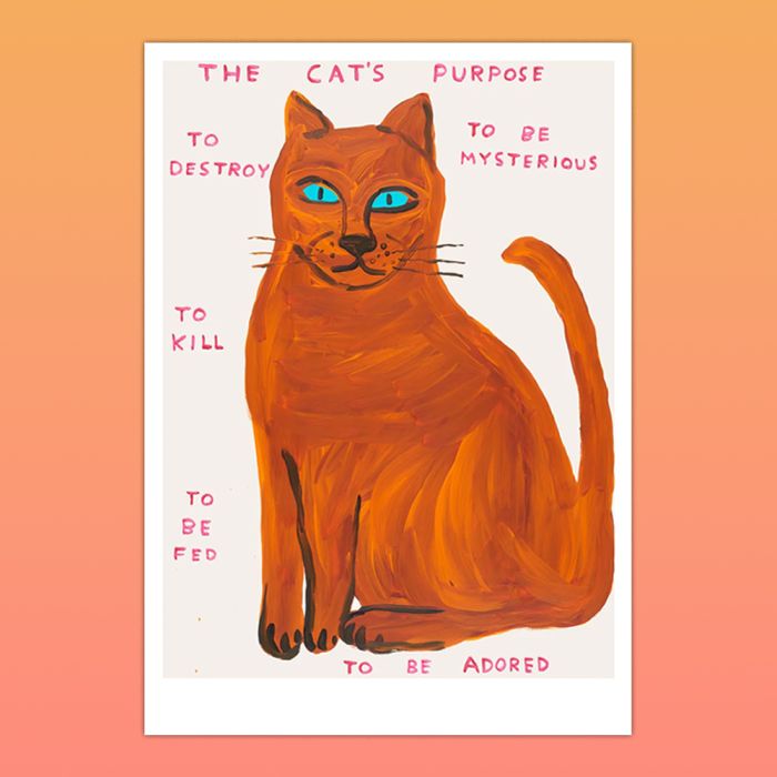 Buy the David Shrigley Cat A5 Postcard Print | Shrig Shop