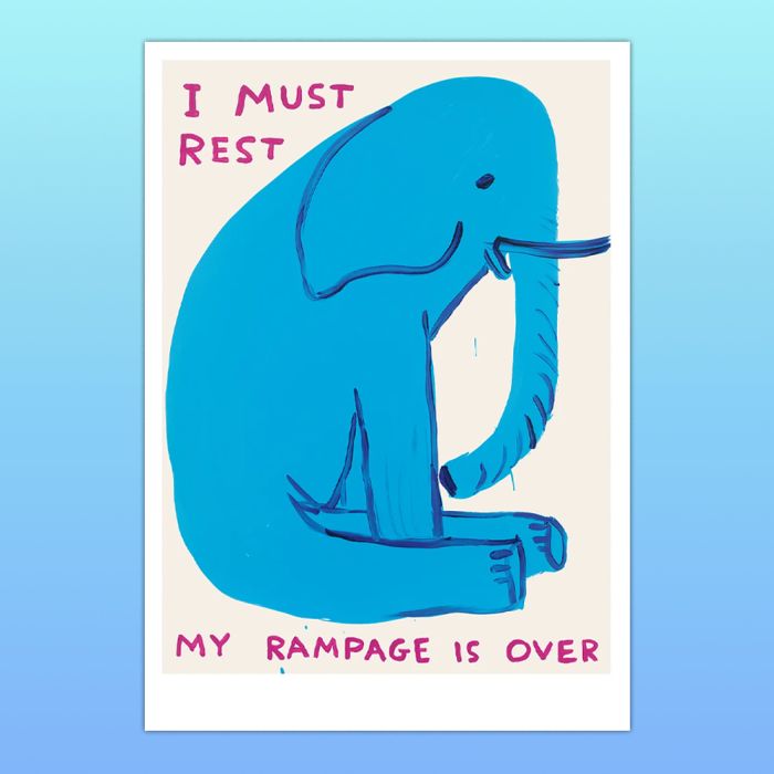 Buy the David Shrigley Elephant A5 Postcard Print | Shrig Shop