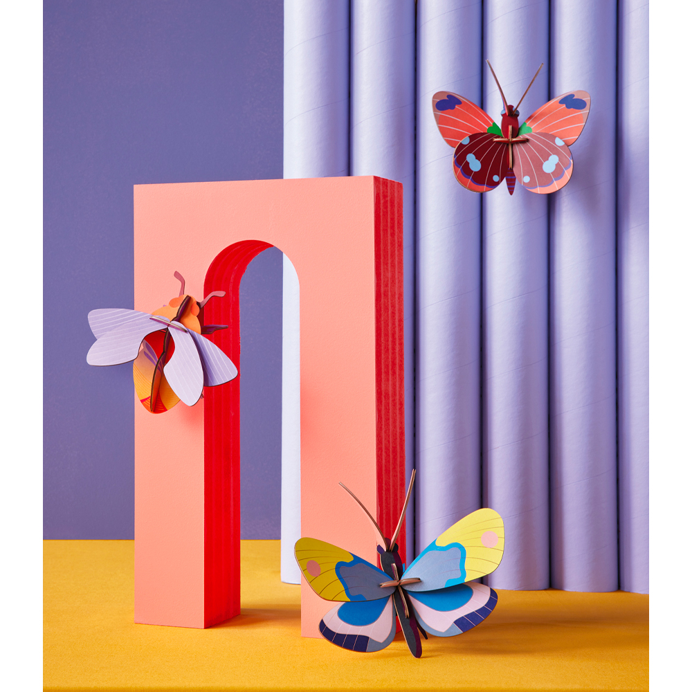 Studio Roof 3D Delias Butterfly | Utility Gift UK