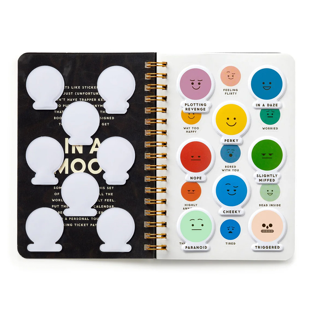 In a Mood Sticker Book by Brass Monkey | Utility Gift UK