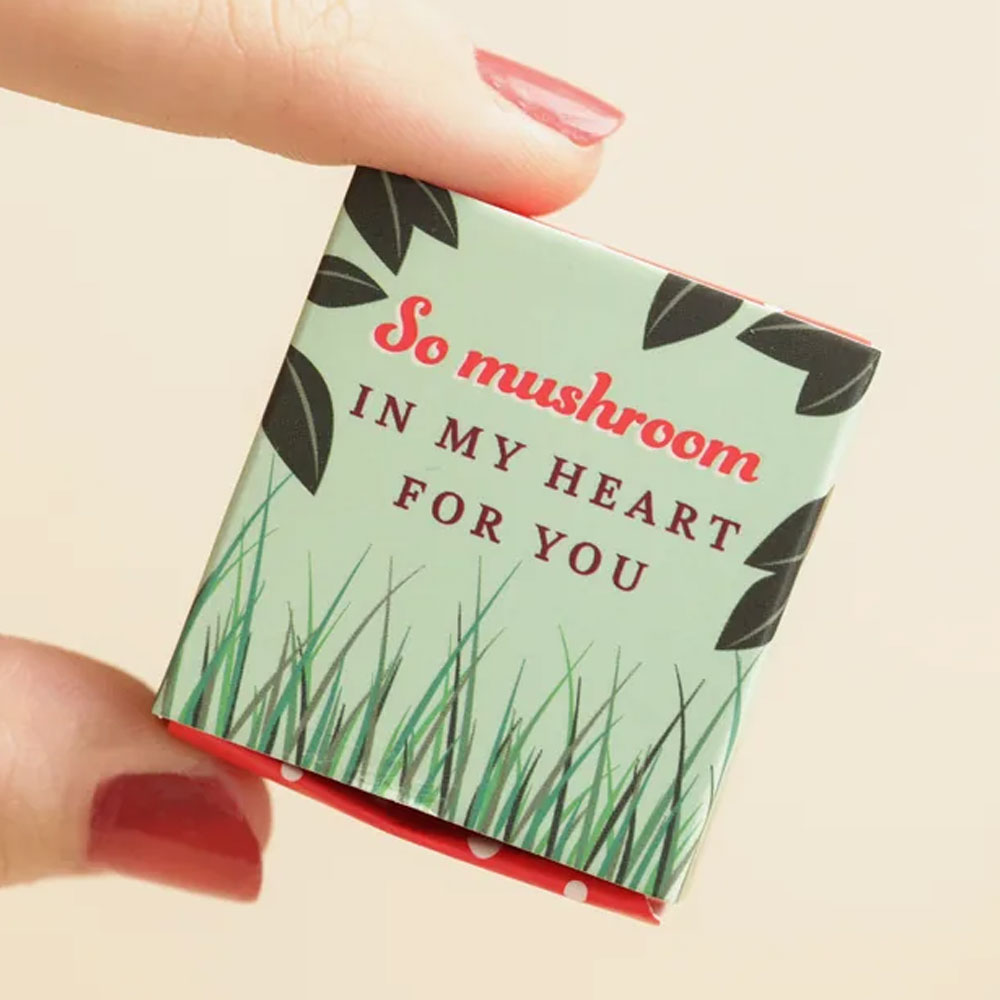 Lisa Angel Tiny Matchbox Ceramic Mushroom 'In My Heart'