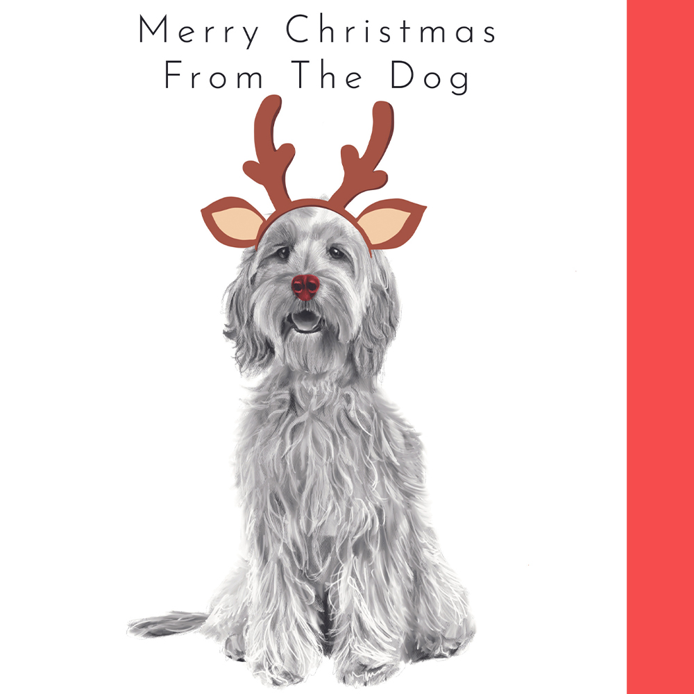 Merry Christmas From The Dog | Exclusive Christmas Cards
