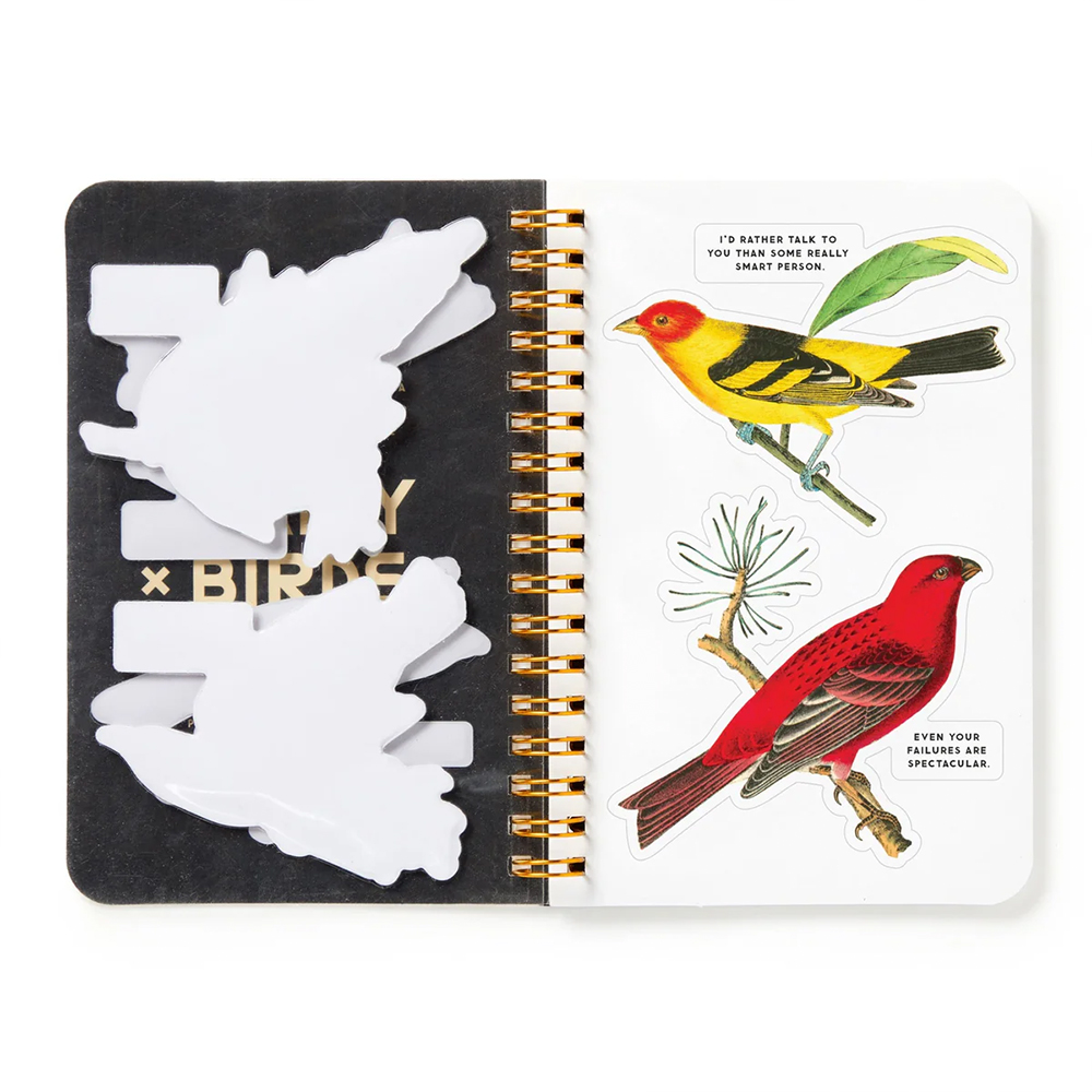 Salty Birds Sticker Book by Brass Monkey | Utility Gift UK