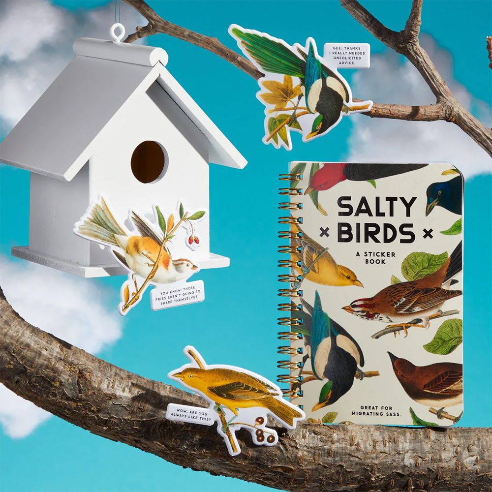 Salty Birds Sticker Book by Brass Monkey | Utility Gift UK
